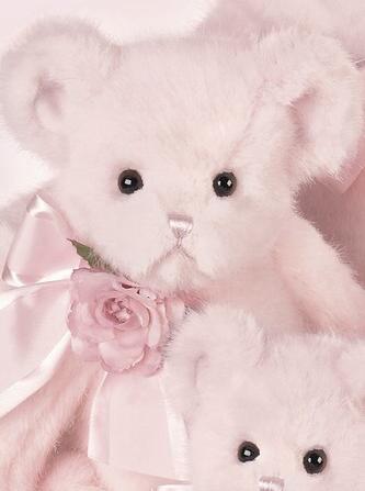 Blush 1924M – The Turtle Trail