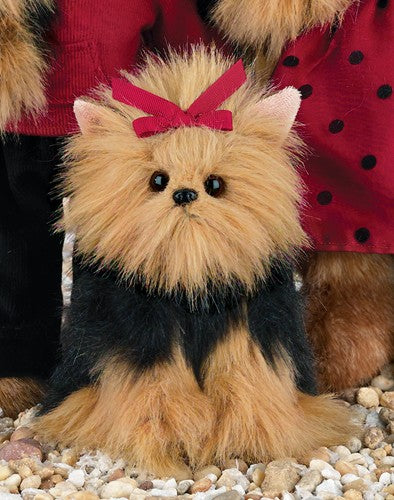 Coco 179953 – The Turtle Trail